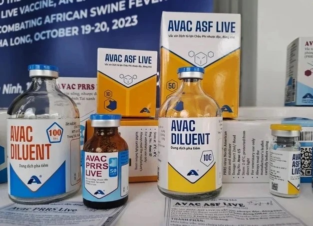 Farmers would even leave livestock farming without ASF vaccines